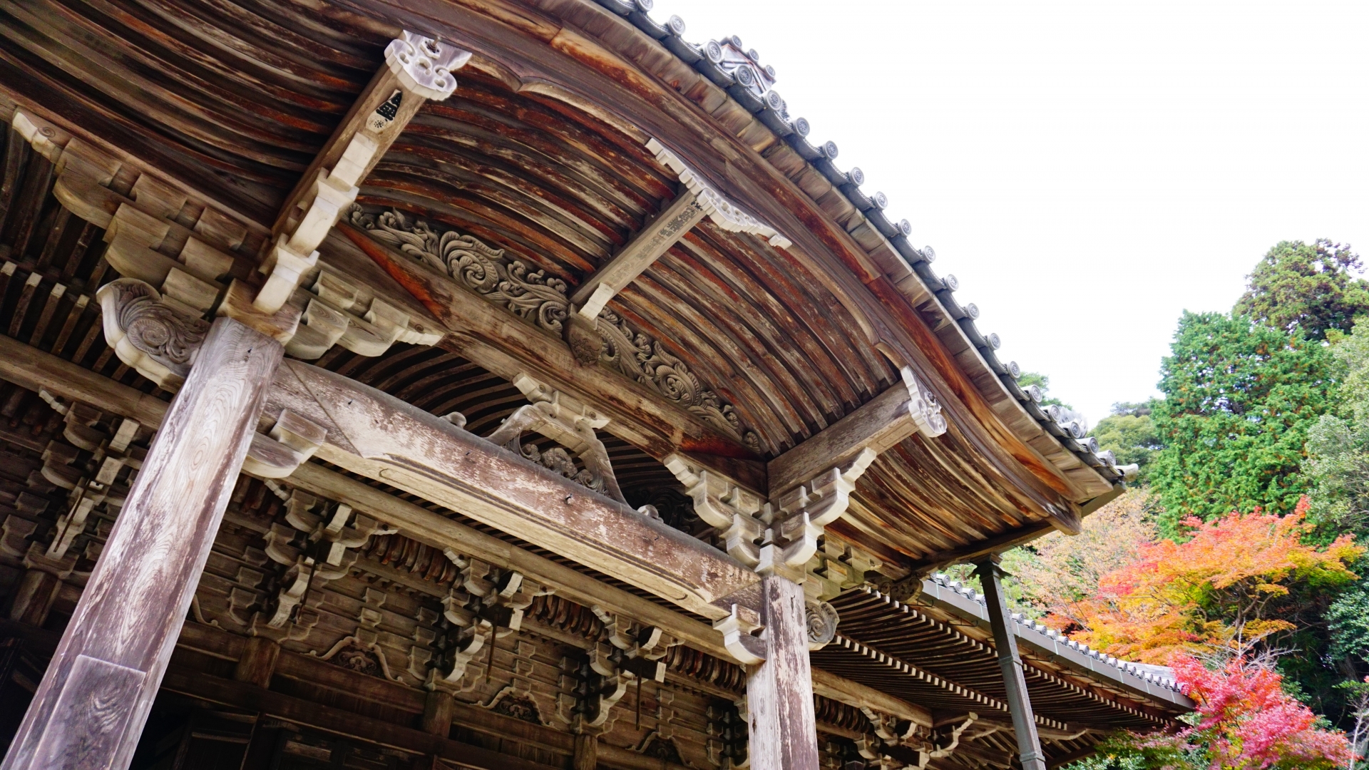 特定非営利活動法人宮大工木造技術継承協会